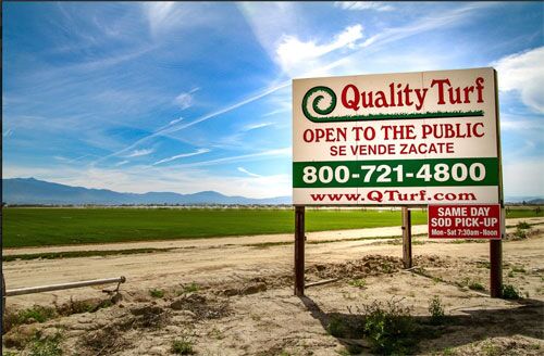 How Much Does Sod Cost in Southern California? A Homeowner's Complete ...